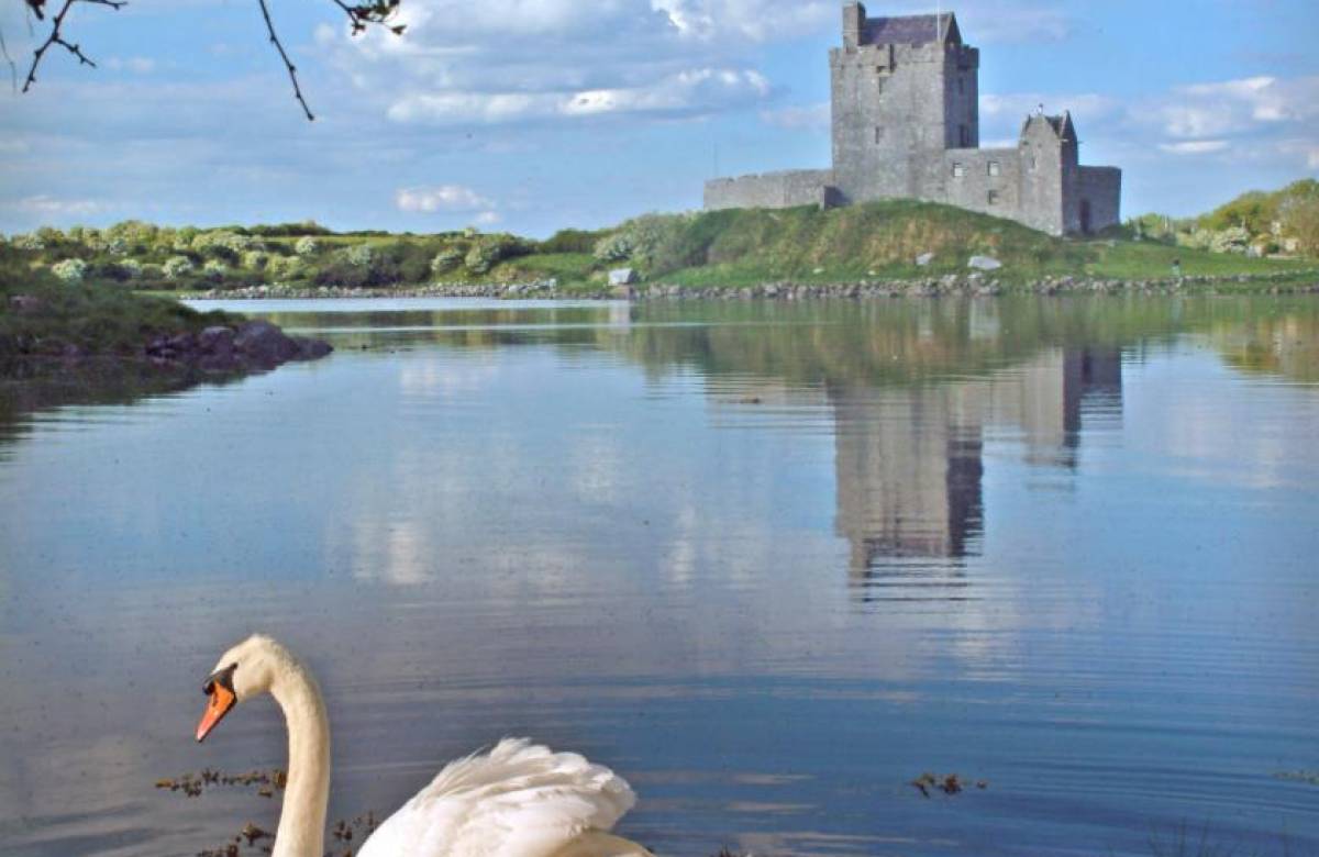 Things to Do in Kinvara, Garlway | Kinvara Guesthouse, Kinvara